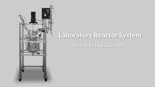 Laboratory Reactor System1-5L with advanced full functions